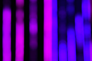 A Brief Guide to Black Light Flashlights – Engineered Labs