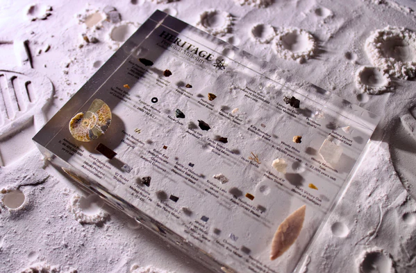 What Is an Artifact? – Engineered Labs