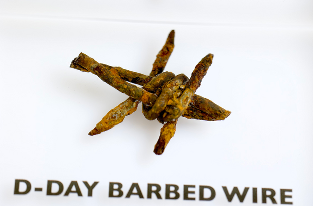 D-Day Barbed Wire Artifact Display – Engineered Labs