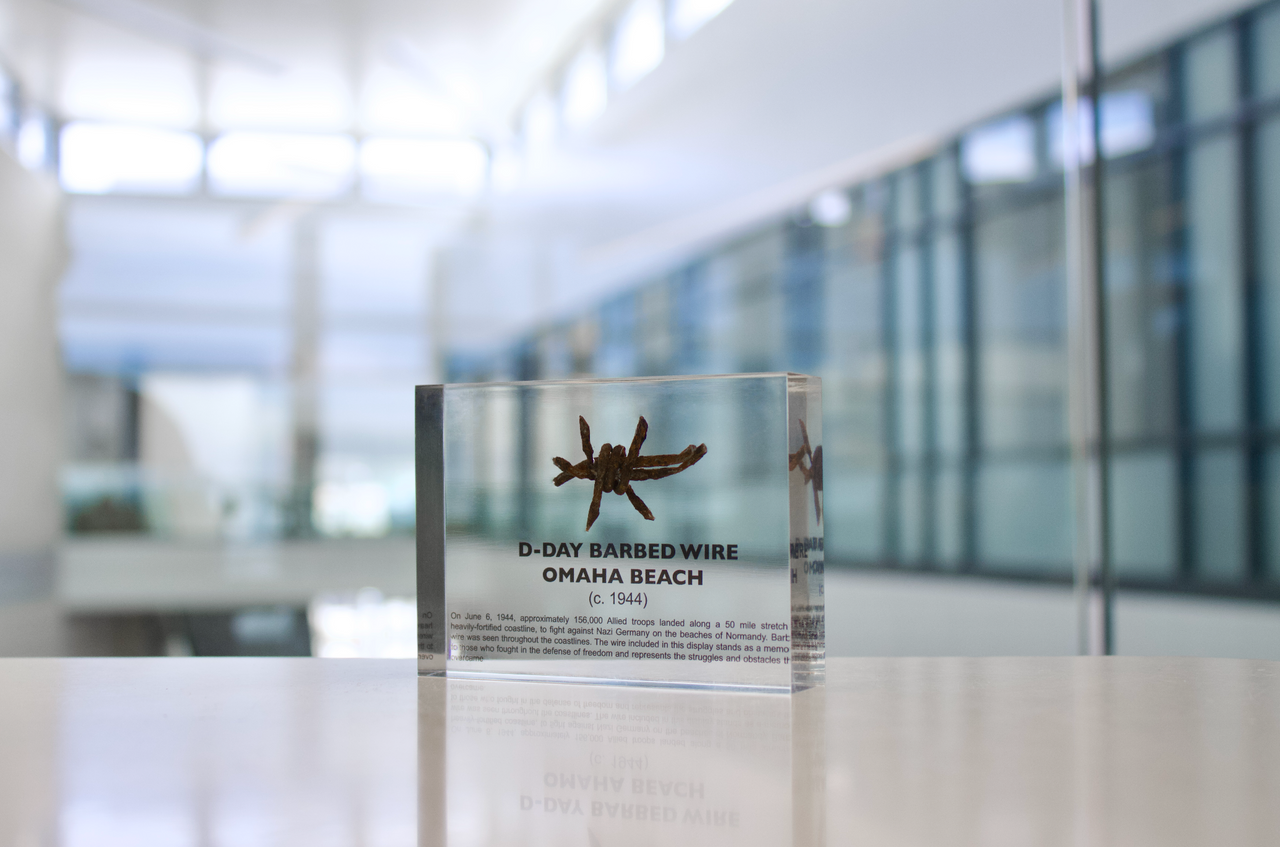 D-Day Barbed Wire Artifact Display – Engineered Labs