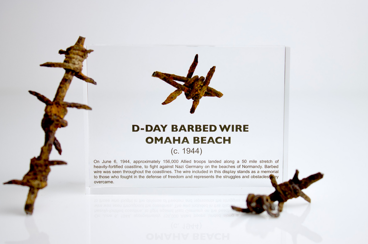 D-Day Barbed Wire Artifact Display – Engineered Labs