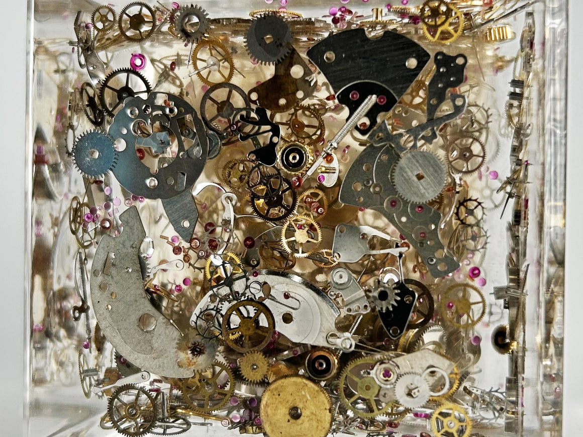 The Timeless Watch Collection – Engineered Labs