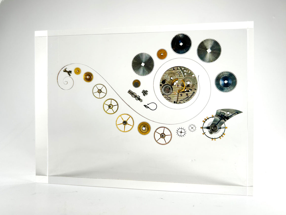 The Timeless Watch Collection – Engineered Labs