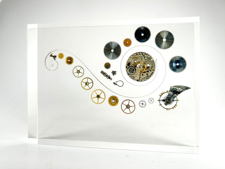 Timeless Watch Collection – Engineered Labs