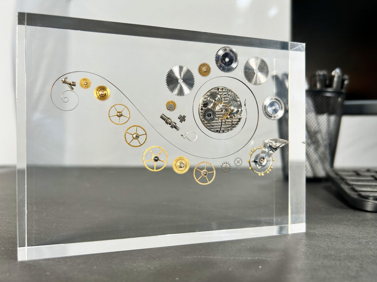 The Timeless Watch Collection – Engineered Labs