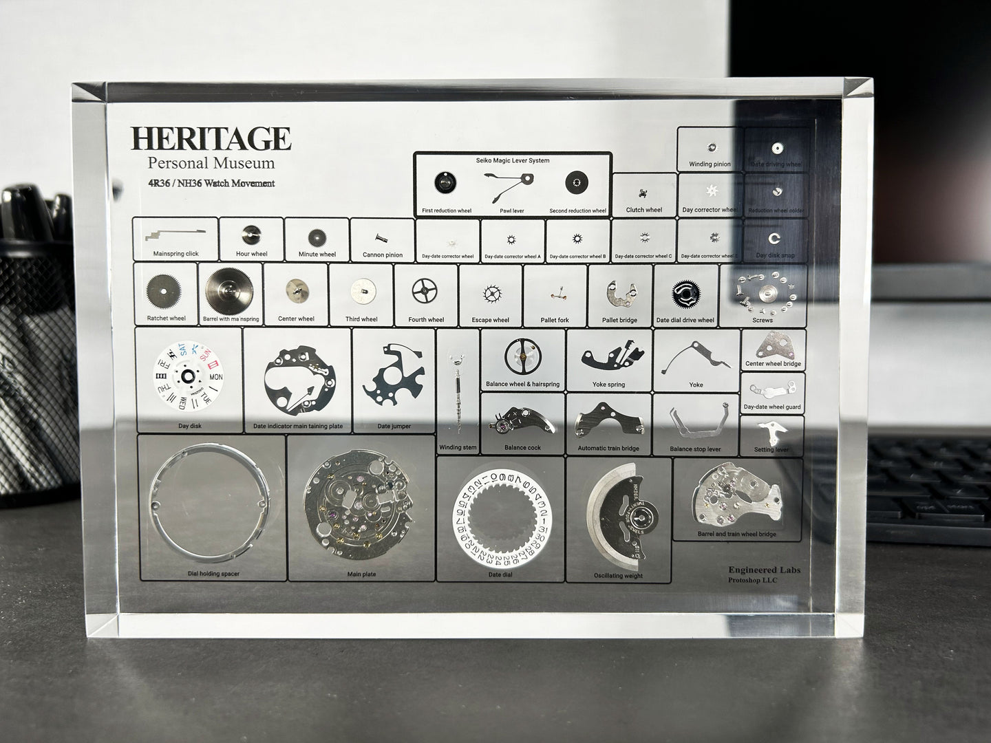 The Timeless Watch Collection – Engineered Labs