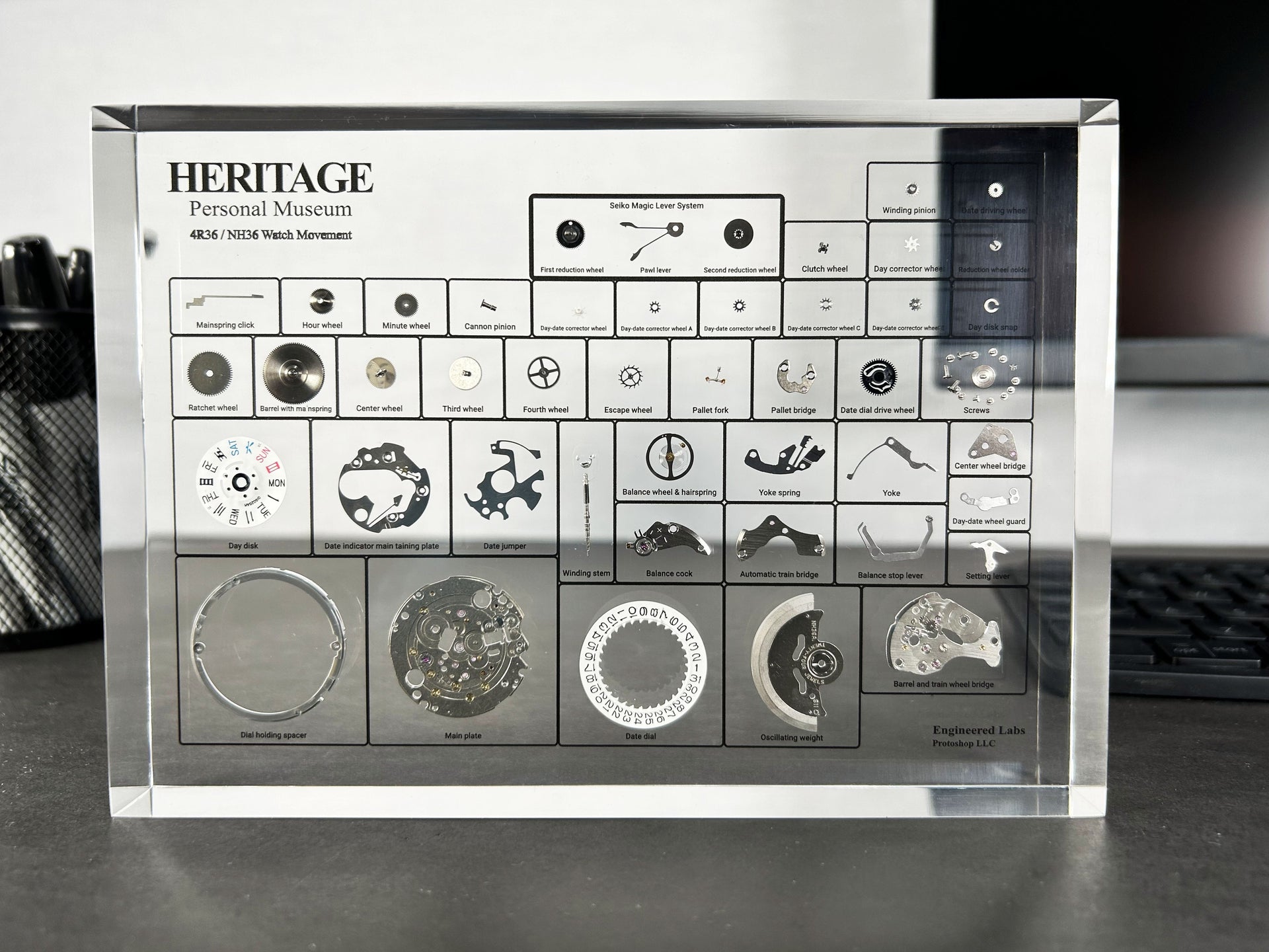 The Timeless Watch Collection – Engineered Labs