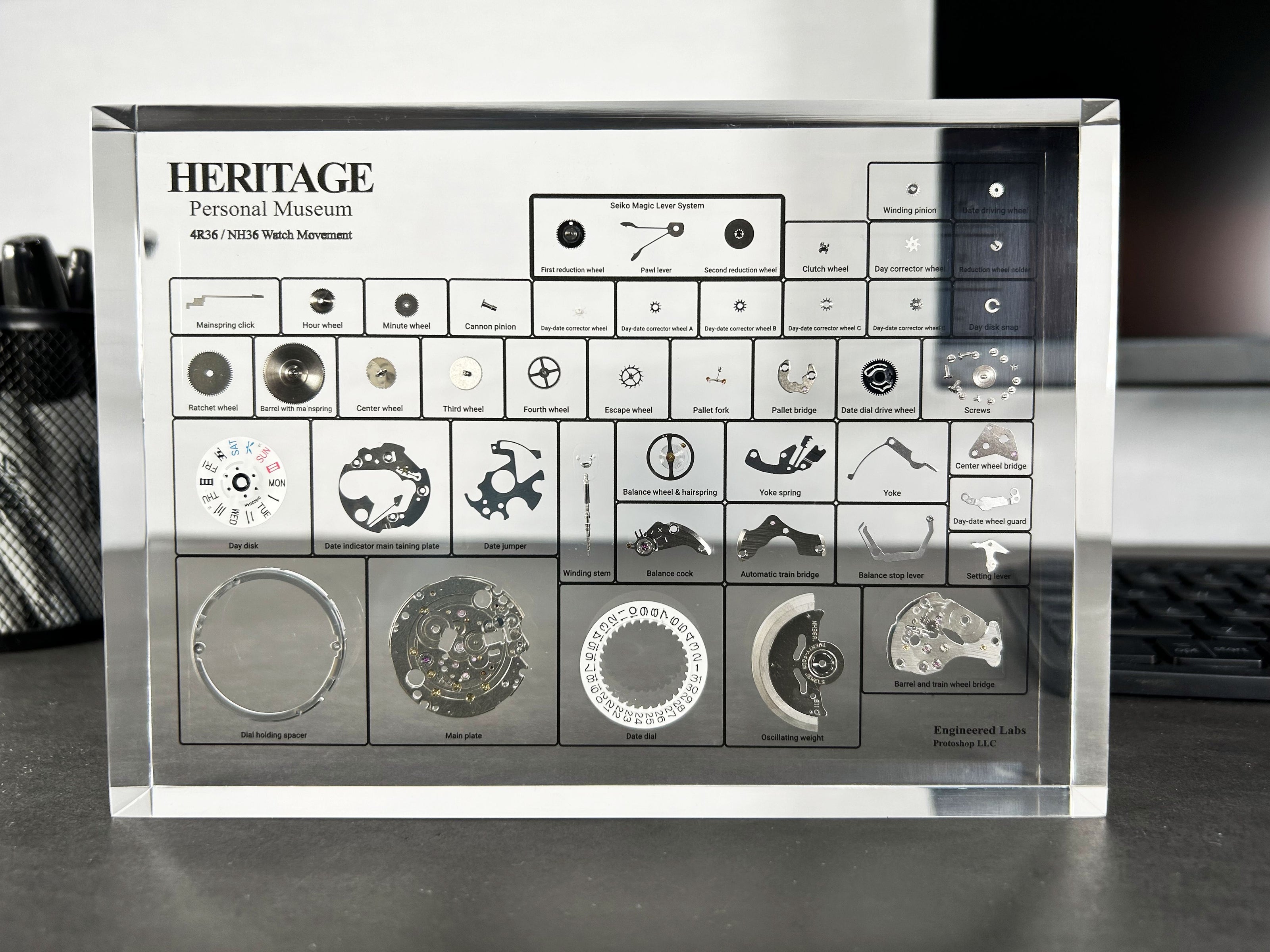 The Timeless Watch Collection – Engineered Labs