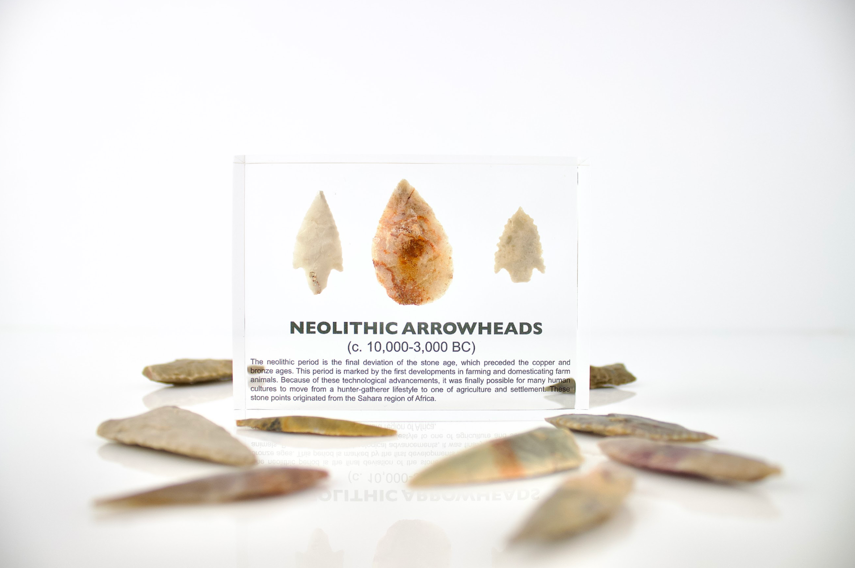 Neolithic Arrowheads Engineered Labs neolithic-arrowheads-engineered-labs