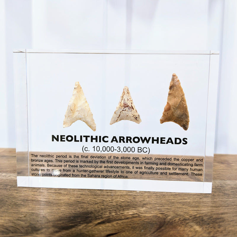Neolithic Arrowheads – Engineered Labs