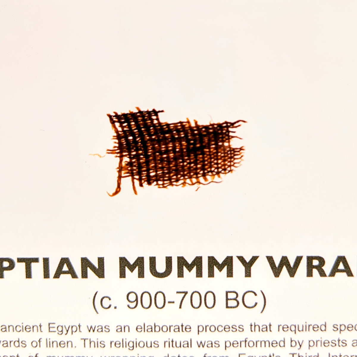 Egyptian Mummy Wrapping – Engineered Labs